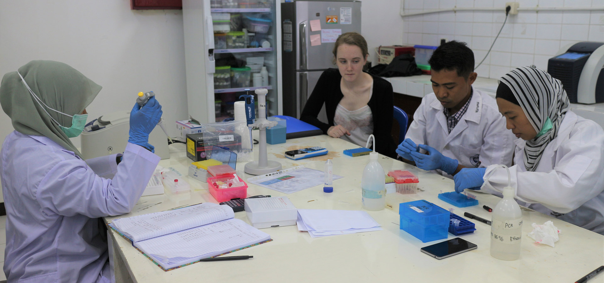 IIEF – Indonesian International Education Foundation